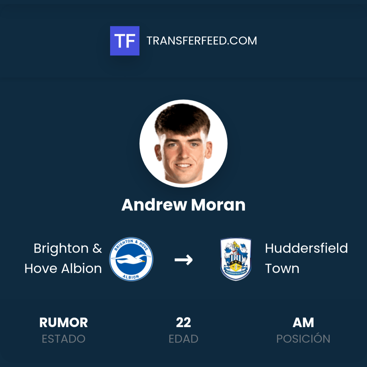 Fichaje de Andrew Moran: Brighton & Hove Albion a Huddersfield Town ...