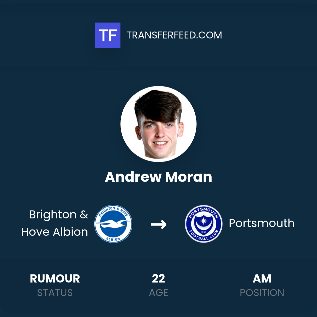 Andrew Moran Transfer from Brighton & Hove Albion to Portsmouth ...