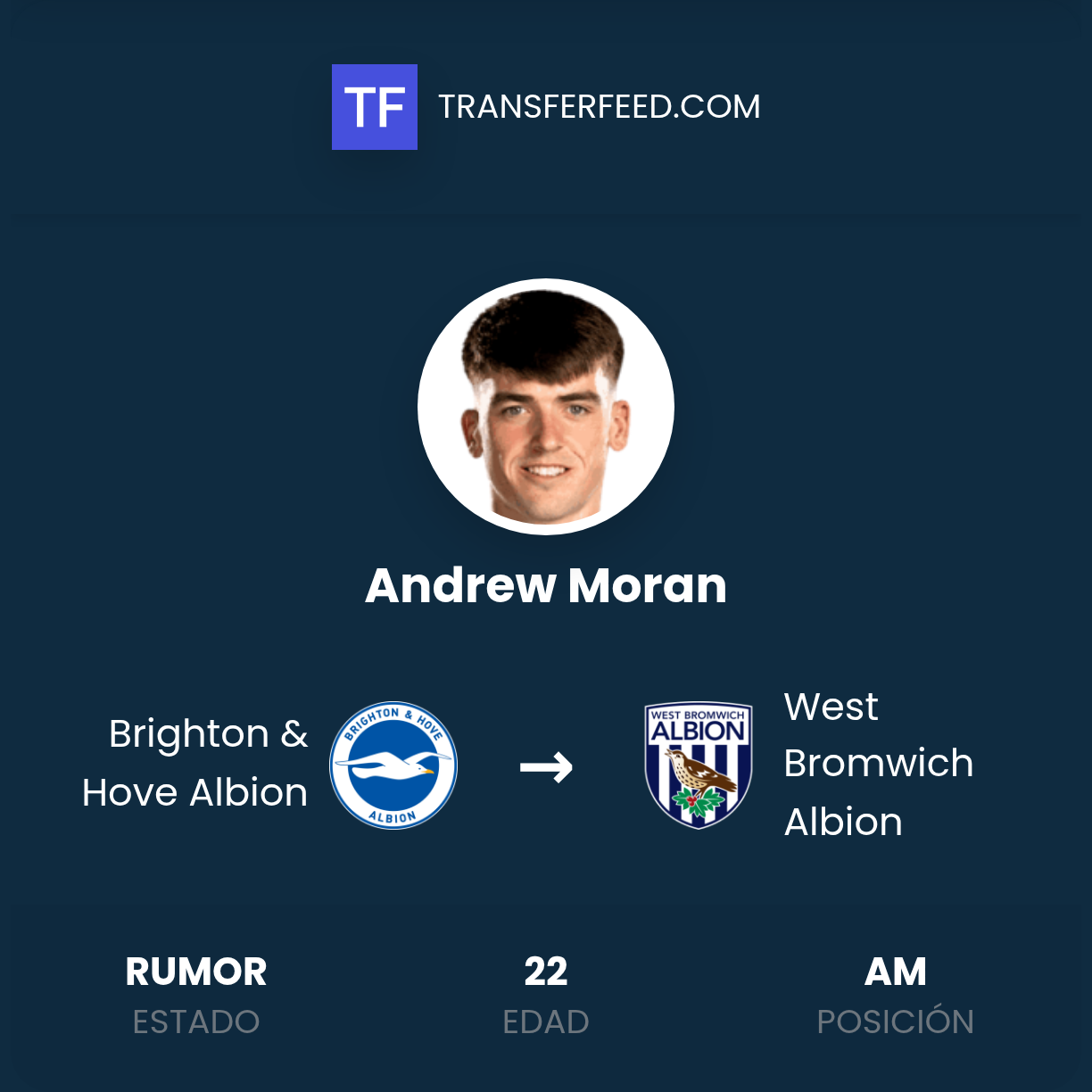 Fichaje de Andrew Moran: Brighton & Hove Albion a West Bromwich Albion ...