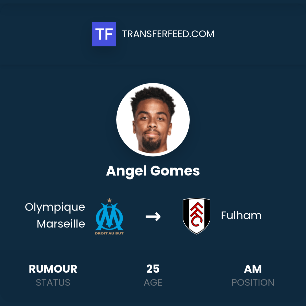 Angel Gomes Transfer from Olympique Marseille to Fulham - TransferFeed