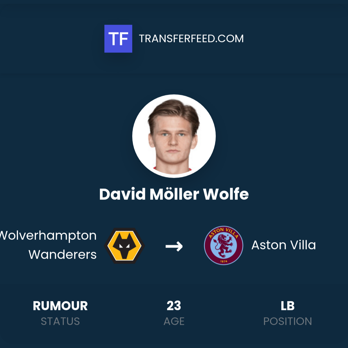 David Möller Wolfe Transfer from Wolverhampton Wanderers to Aston Villa ...