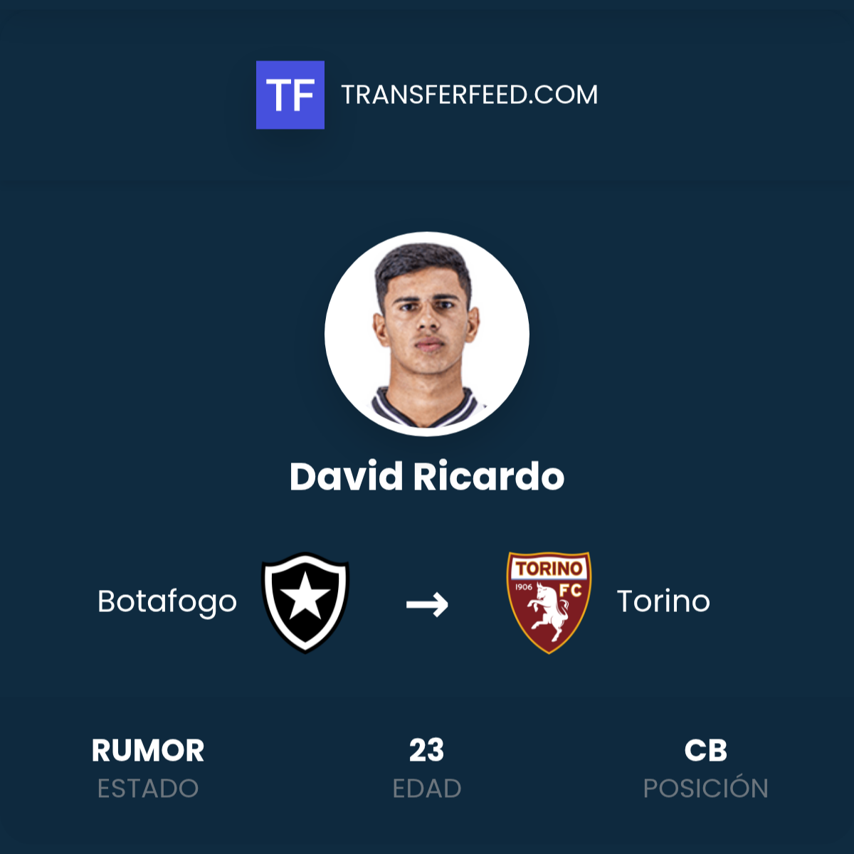 Fichaje de David Ricardo: Botafogo a Torino - TransferFeed