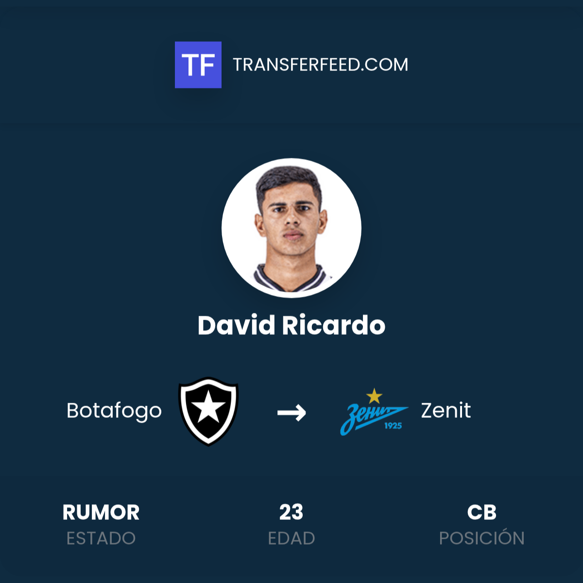 Fichaje de David Ricardo: Botafogo a Zenit - TransferFeed