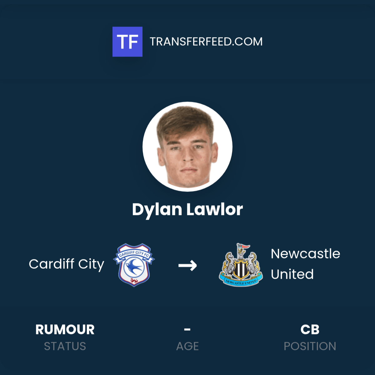 Dylan Lawlor Transfer from Cardiff City to Newcastle United - TransferFeed