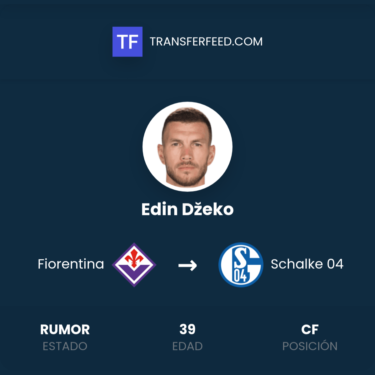 Fichaje de Edin Džeko: Fiorentina a Schalke 04 - TransferFeed