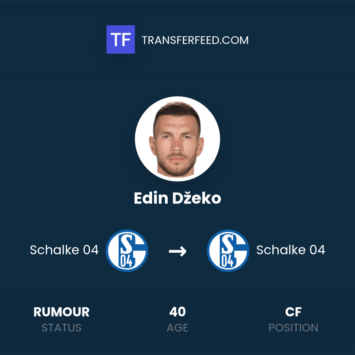Edin Džeko: Schalke 04 Contract Extension - TransferFeed