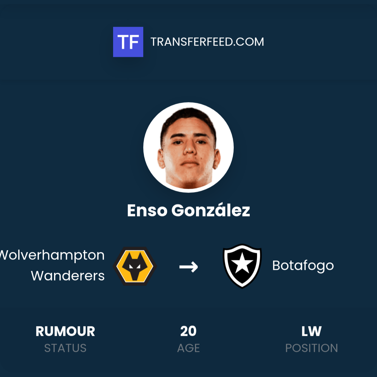 Enso González Transfer from Wolverhampton Wanderers to Botafogo ...