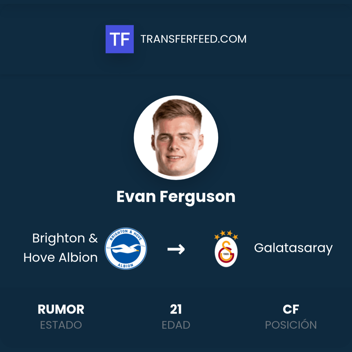 Fichaje de Evan Ferguson: Brighton & Hove Albion a Galatasaray ...