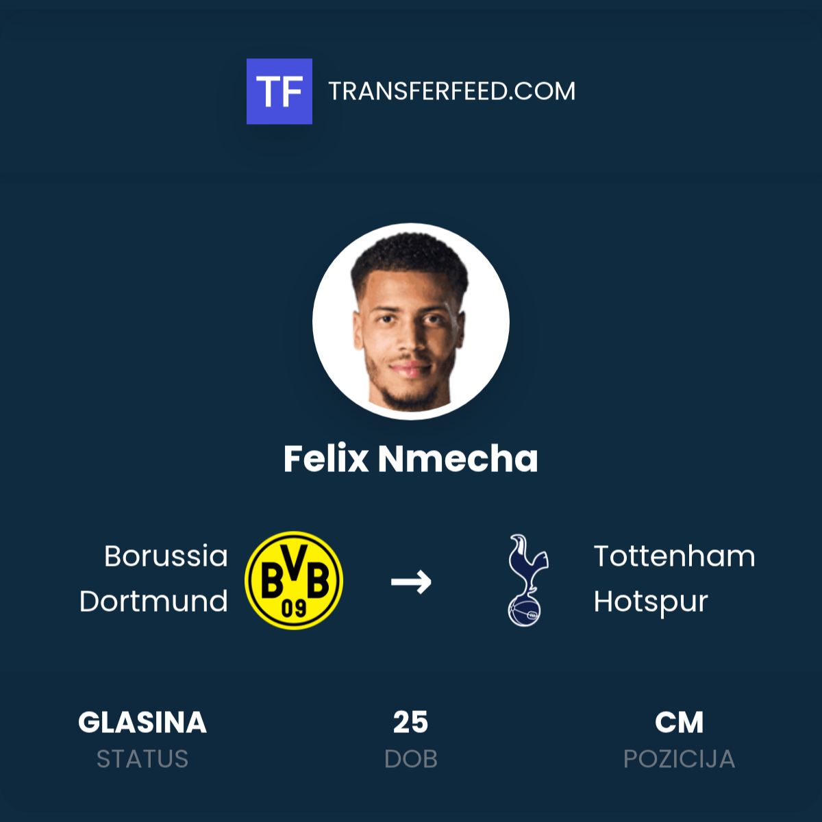 Felix Nmecha Transfer: Borussia Dortmund -> Tottenham Hotspur ...