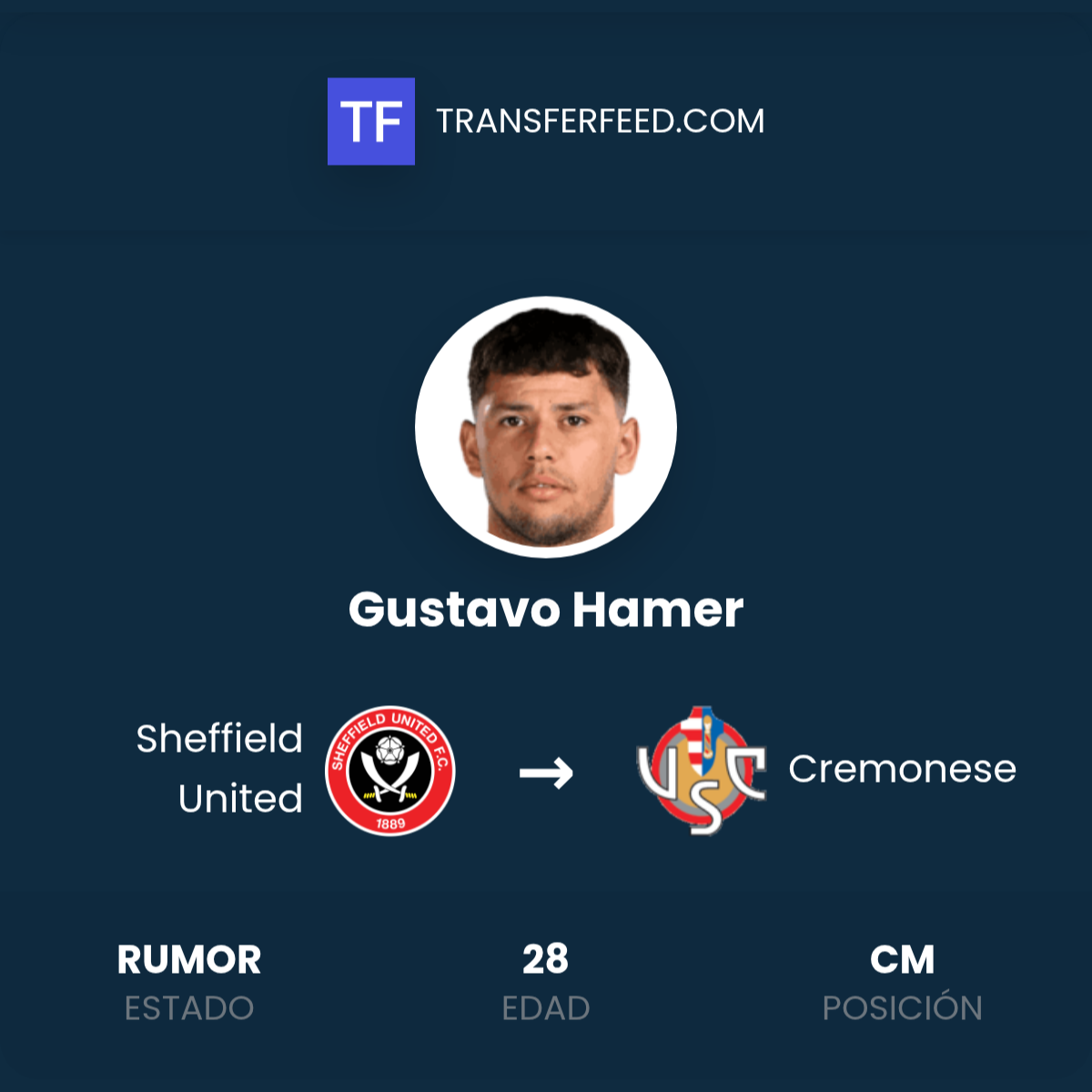Fichaje de Gustavo Hamer: Sheffield United a Cremonese - TransferFeed