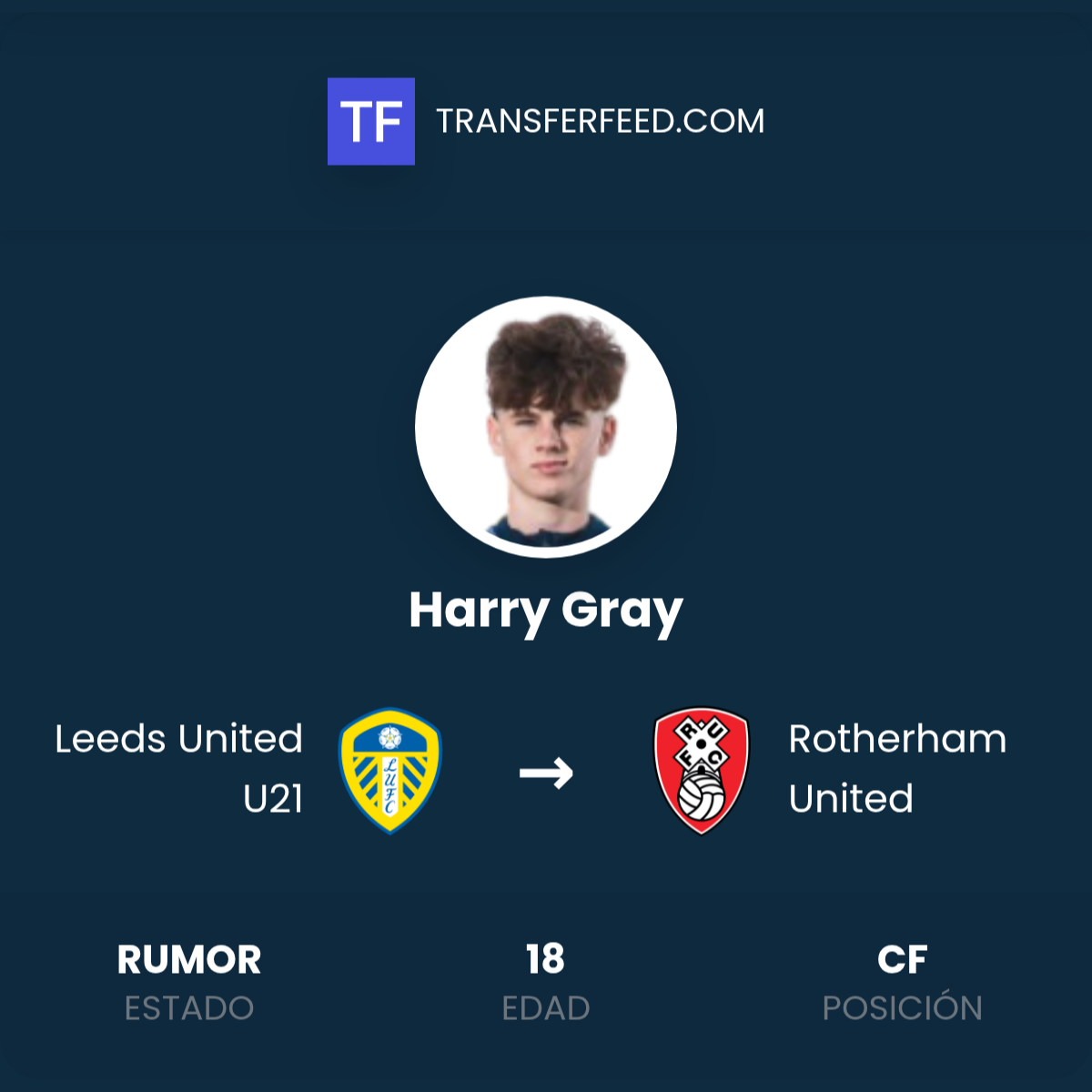 Fichaje de Harry Gray: Leeds United U21 a Rotherham United - TransferFeed