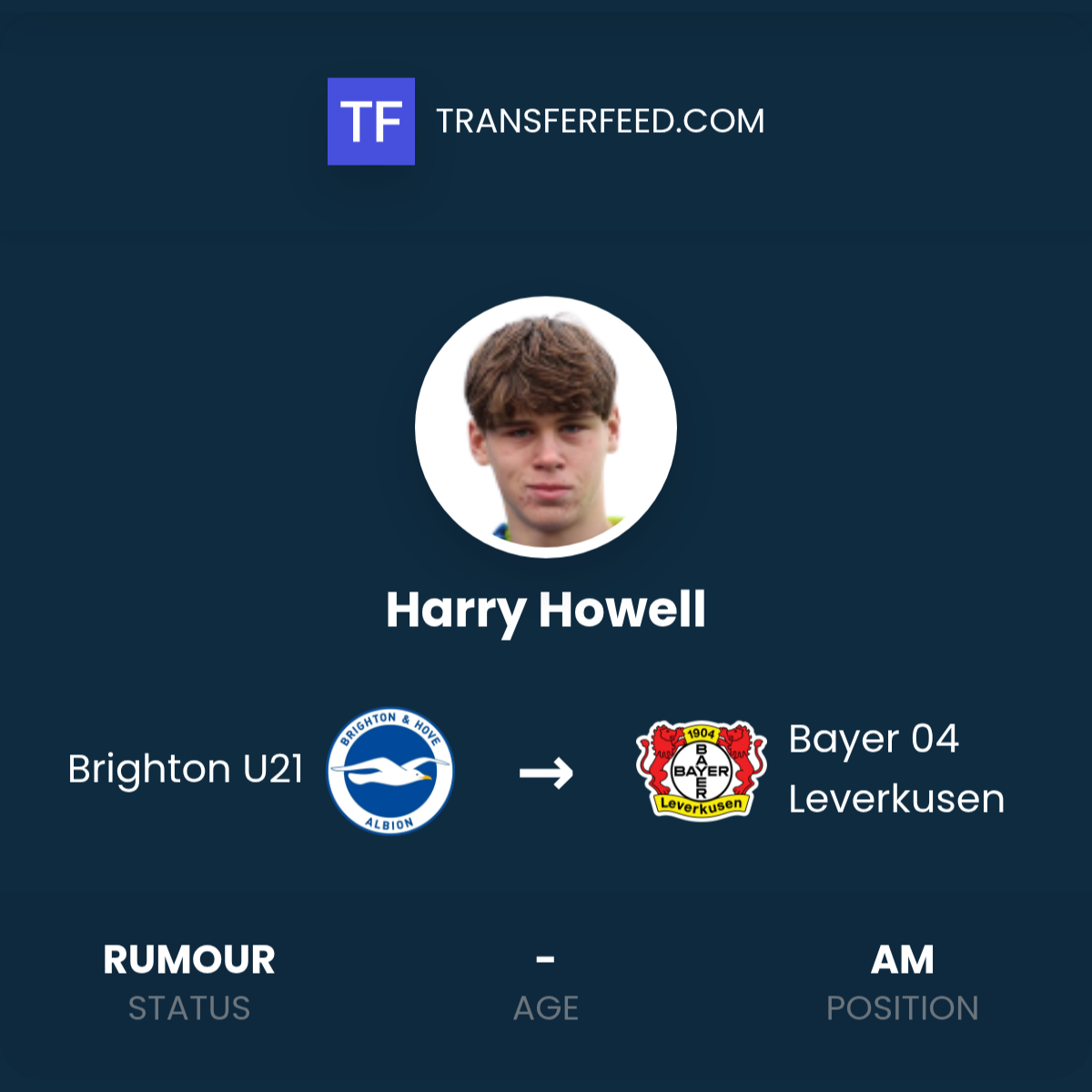 Harry Howell Transfer from Brighton U21 to Bayer 04 Leverkusen ...