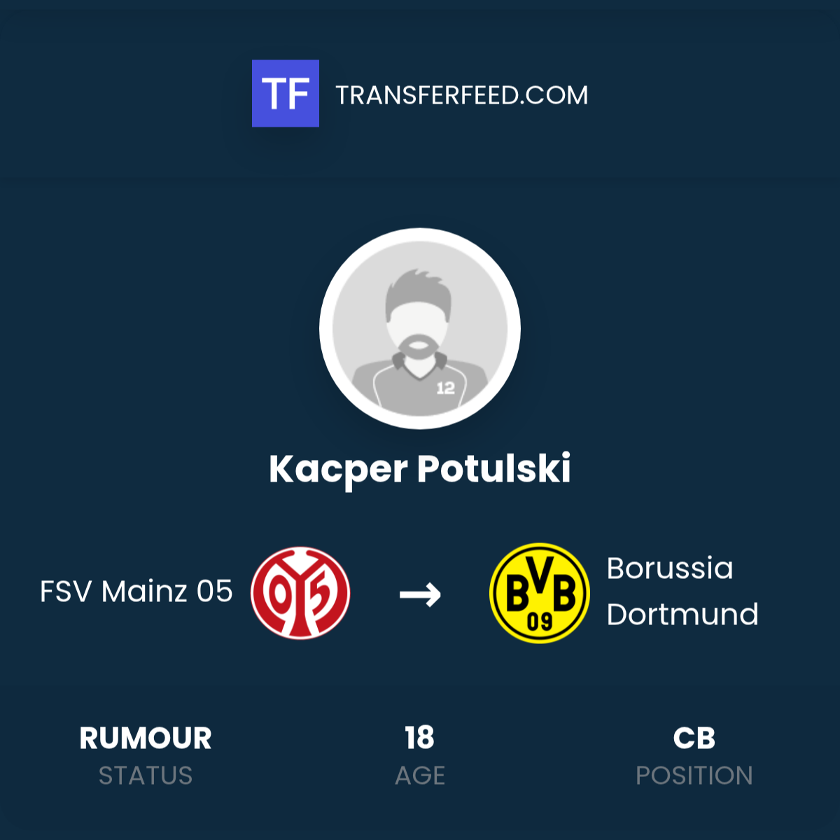 Kacper Potulski Transfer from FSV Mainz 05 to Borussia Dortmund ...