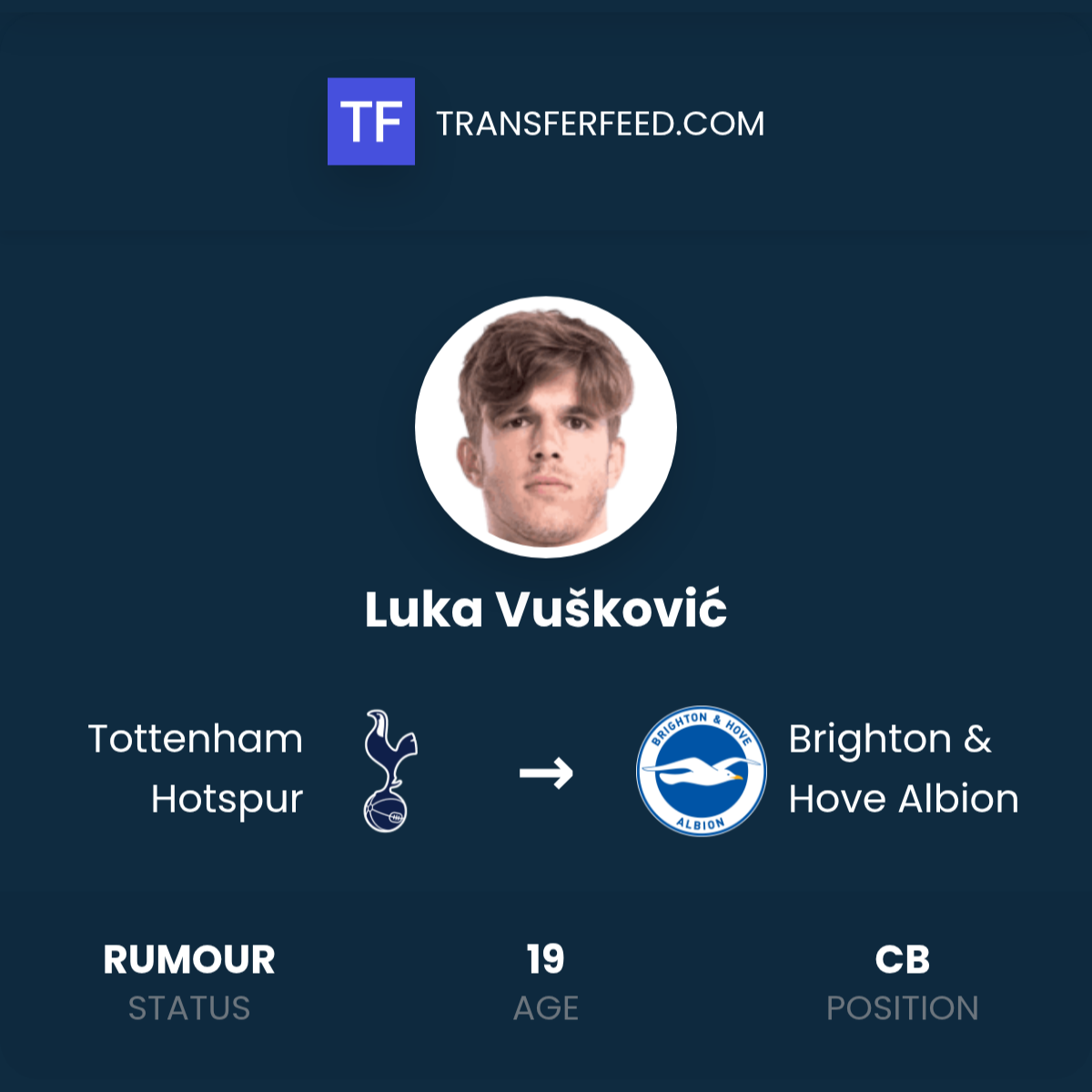Luka Vušković Transfer from Tottenham Hotspur to Brighton & Hove Albion ...