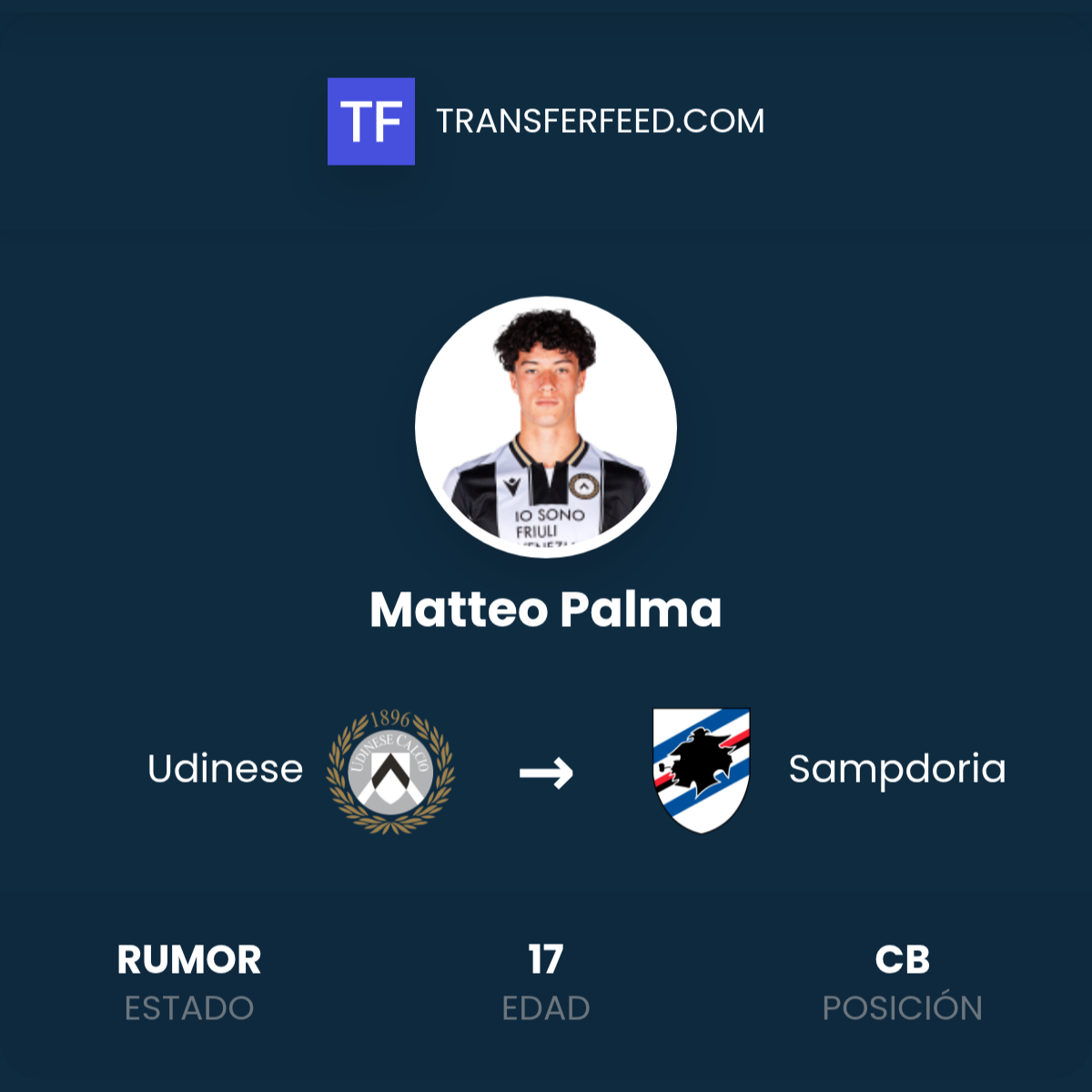 Fichaje de Matteo Palma: Udinese a Sampdoria - TransferFeed