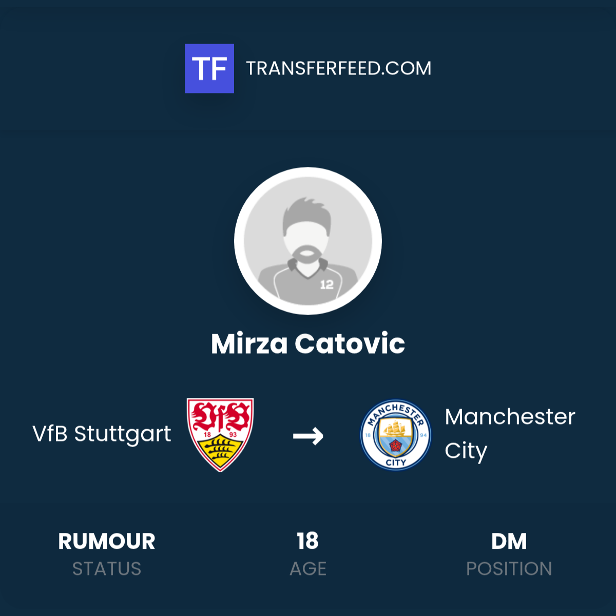 Mirza Catovic Transfer from VfB Stuttgart to Manchester City - TransferFeed