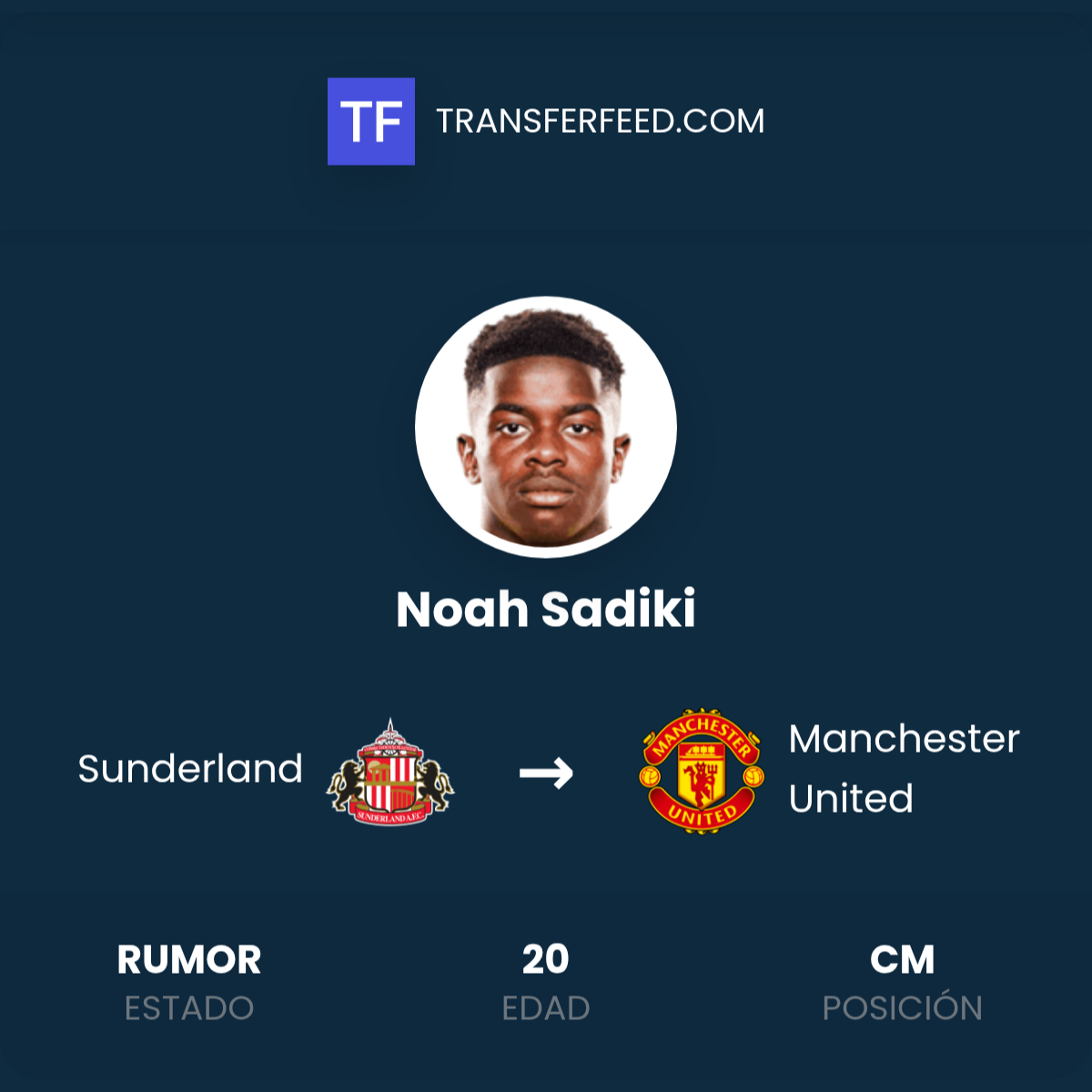 Fichaje de Noah Sadiki: Sunderland a Manchester United - TransferFeed
