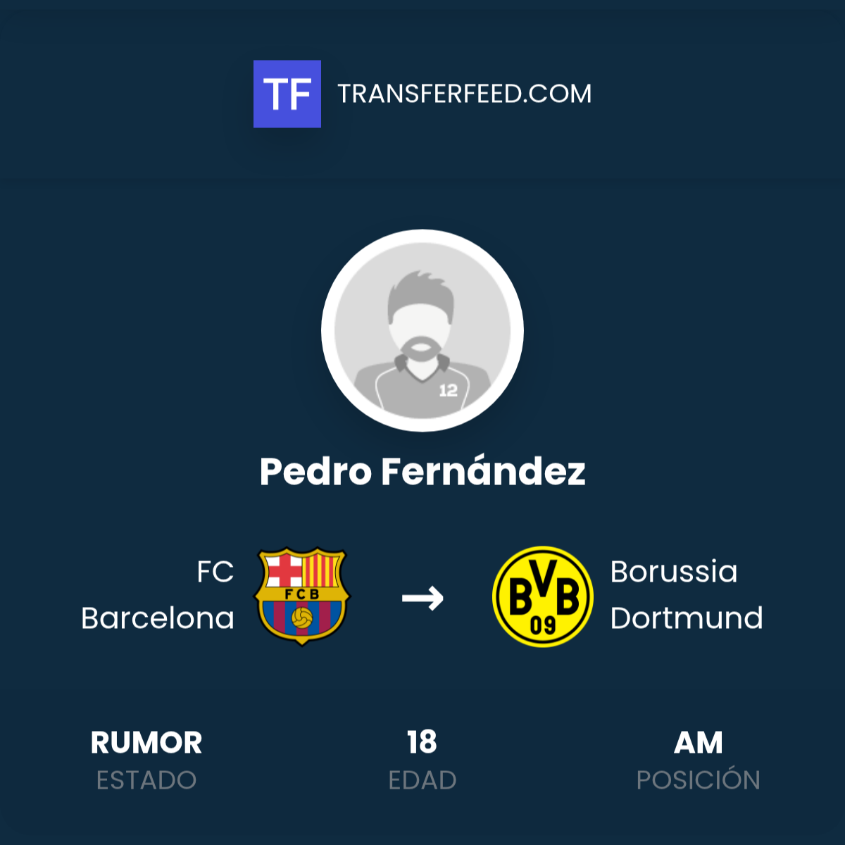 Fichaje de Pedro Fernández: FC Barcelona a Borussia Dortmund - TransferFeed