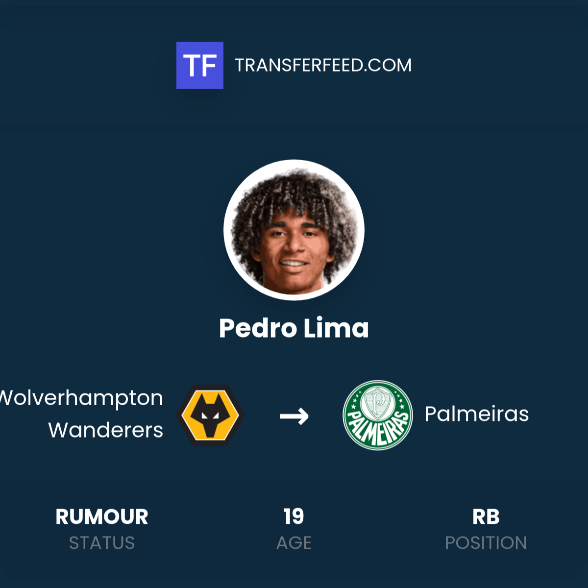 Pedro Lima Transfer from Wolverhampton Wanderers to Palmeiras ...