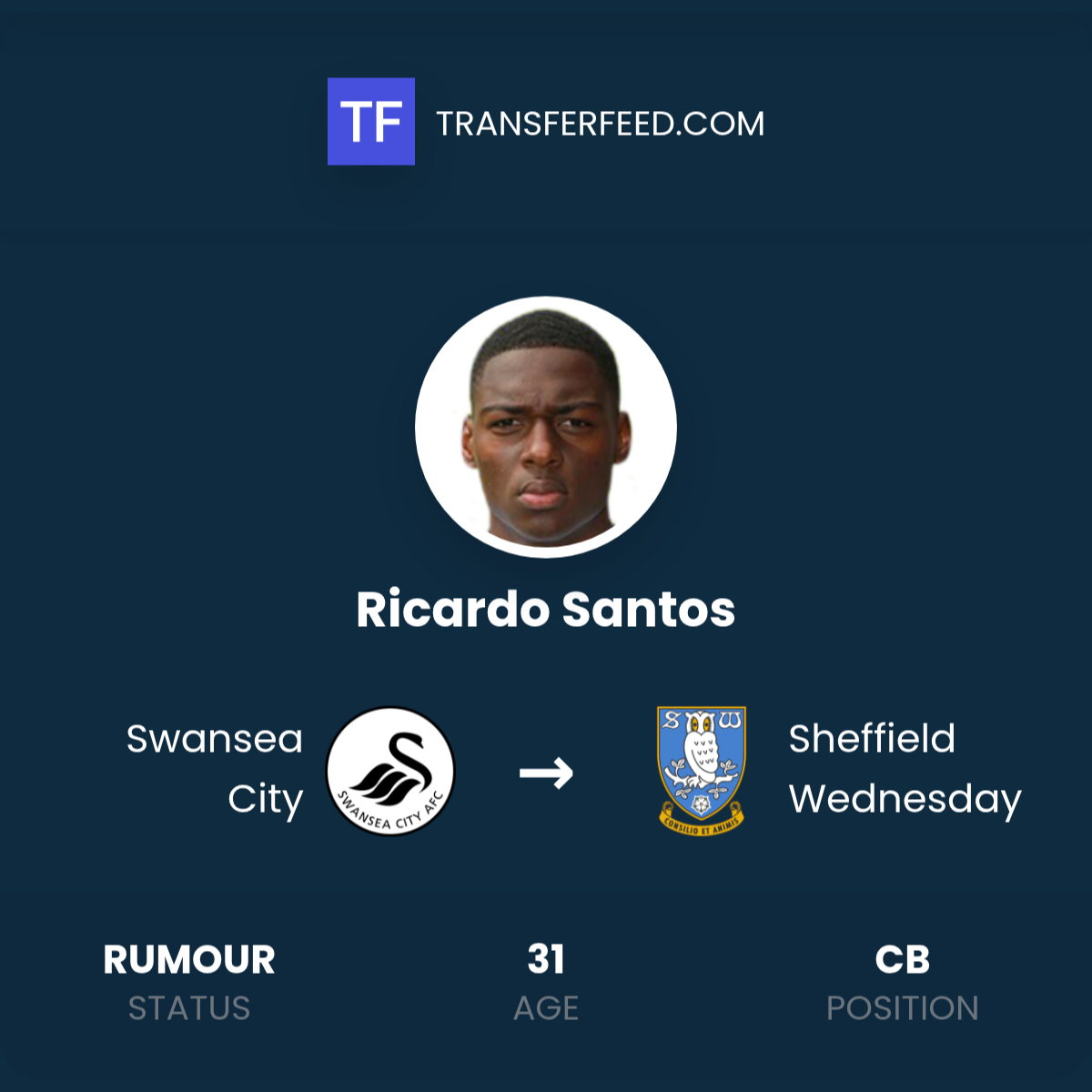 Ricardo Santos Transfer from Swansea City to Sheffield Wednesday ...