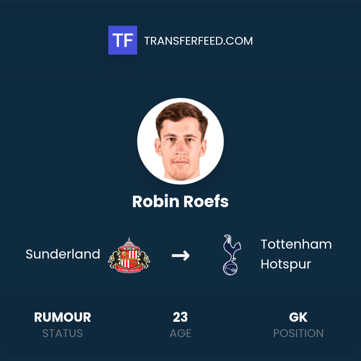 Robin Roefs Transfer from Sunderland to Tottenham Hotspur - TransferFeed