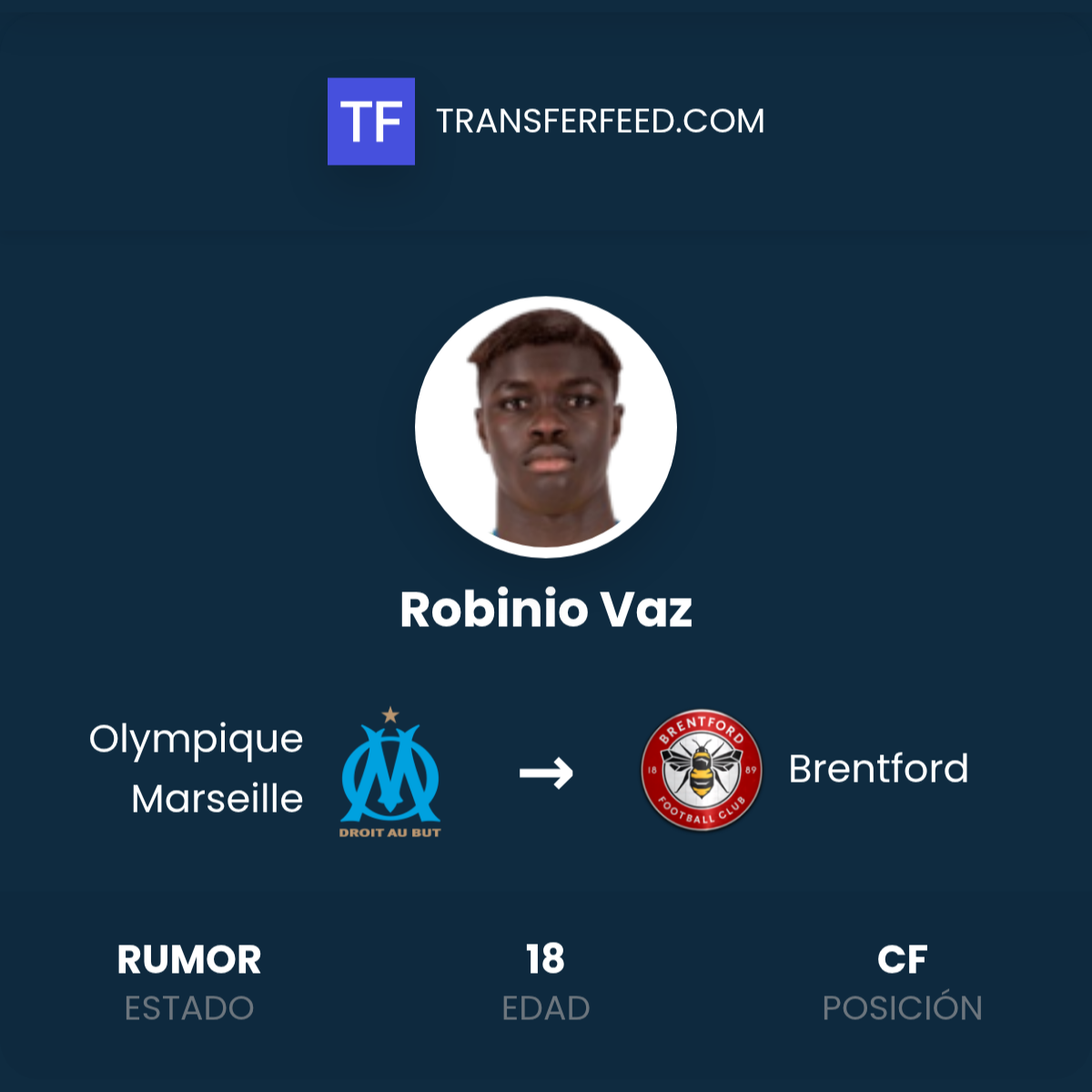 Fichaje de Robinio Vaz: Olympique Marseille a Brentford - TransferFeed