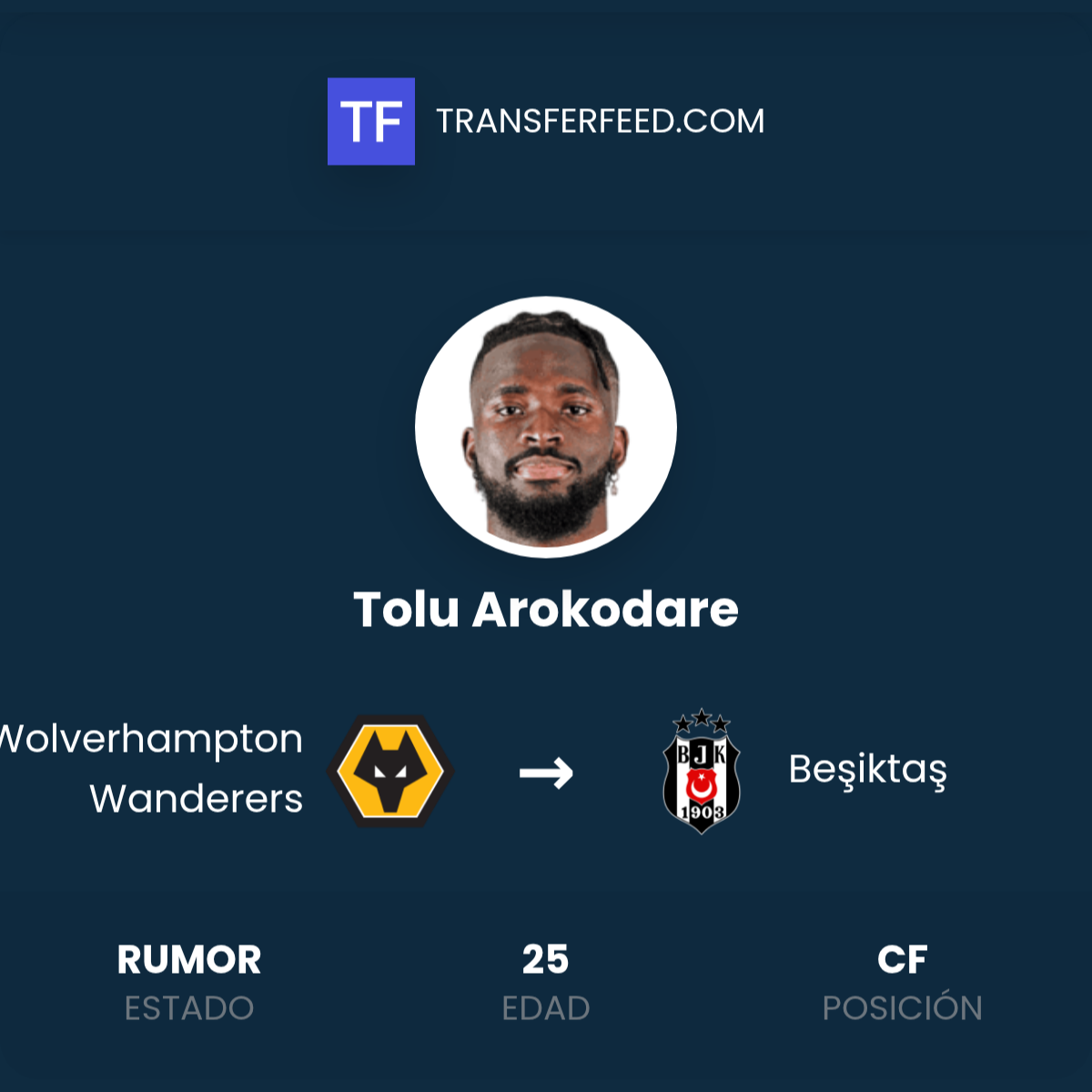 Fichaje de Tolu Arokodare: Wolverhampton Wanderers a Beşiktaş ...