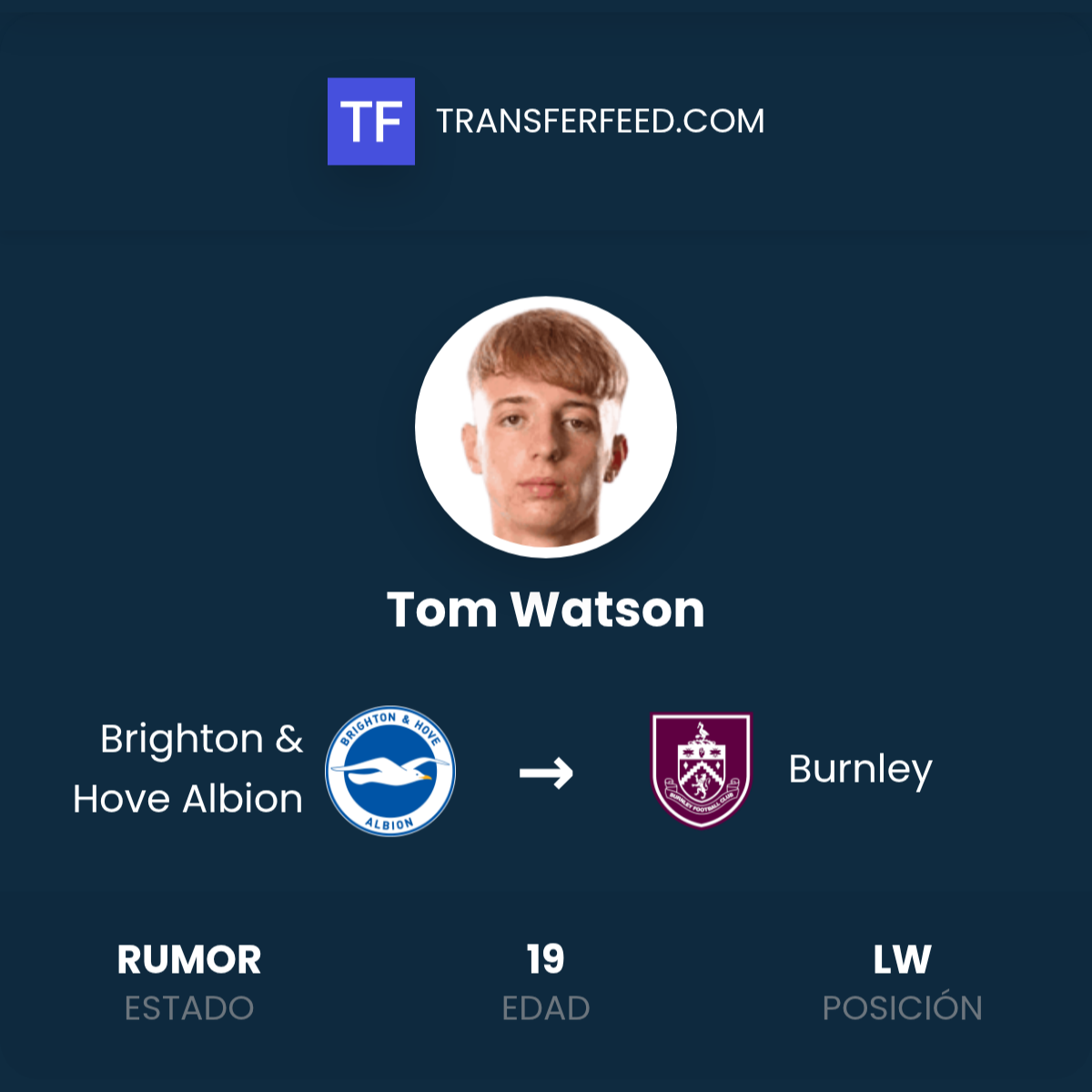Fichaje de Tom Watson: Brighton & Hove Albion a Burnley - TransferFeed